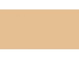 Plan de travail - LEADER PLANS